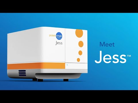 Simple Western Videos | Bio-Techne