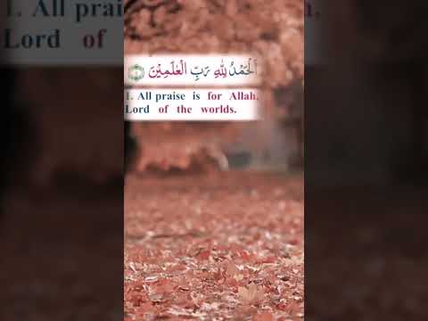 English translation surah fatiha beautiful recitation ????????#quran #shortsfeed #shorts