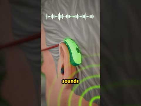 How Hearing Aids Actually Work
