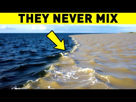 Why TWO OCEANS Meet but Never Mix