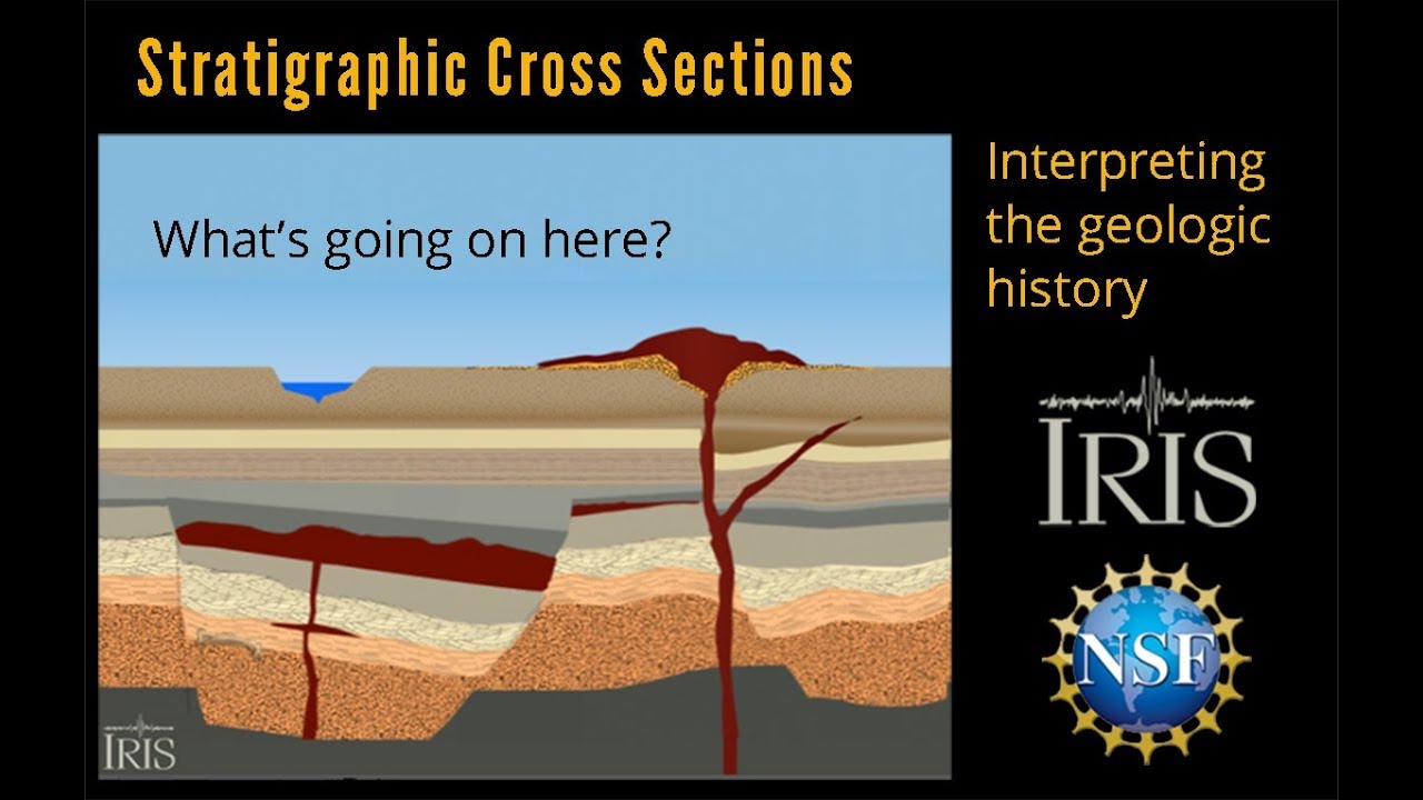 Stratigraphic Cross Section—Interpreting the Geology