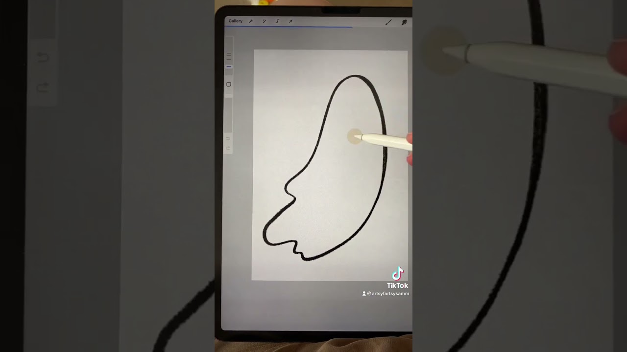 Procreate Help | Reference Layer Explained | Beginner Tutorial
