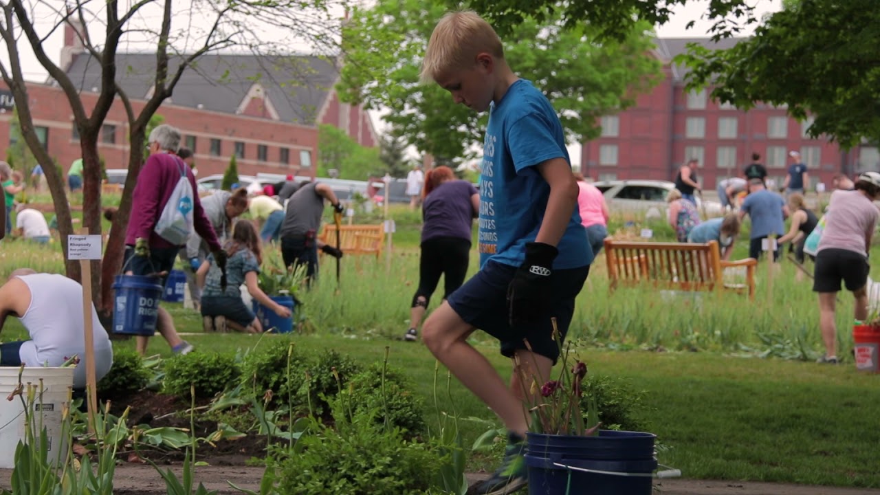 Holland in Bloom: Tulip Dig