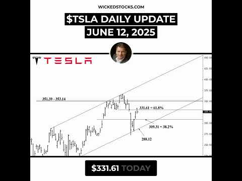 $TSLA BUY-THE-DIP CONTINUES DESPITE PROFIT-TAKING #TSLA #daytrading