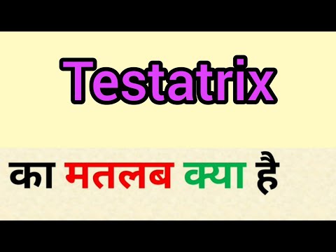 Testatrix meaning in hindi || testatrix ka matlab kya hota hai || word meaning english to hindi