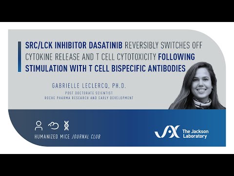 Src/lck Inhibitor Dasatinib Reversibly Switches Off Cytokine Release and T Cell Cytotoxicity