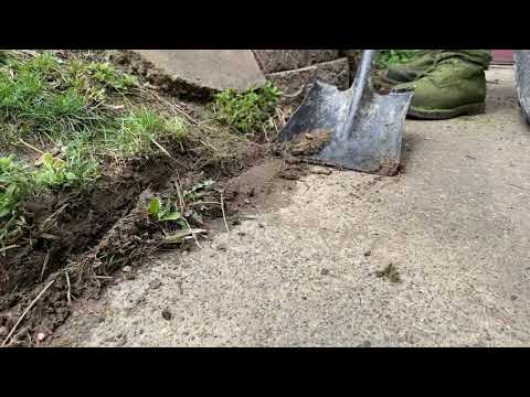 Mowing and edging promo LCBB