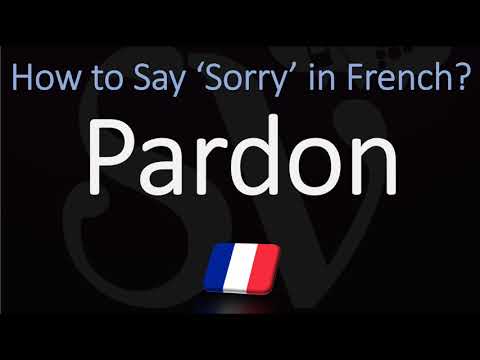 How to say 'Sorry' in French? How to Pronounce Pardon?