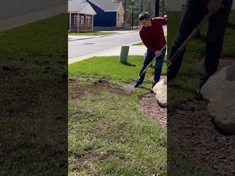 Simple lawn spring prep and now the lawn is super green! #springtime #lawncare #greengrass #lawn