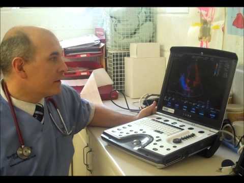 Craig Devine with his GE Vivid-q from BCF Technology