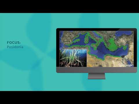 E-Poster Session 2 ID 39 Development of Local EO Algorithms for Monitoring the Greek Seas
