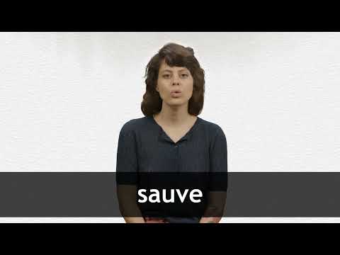 English Translation of “SAUVE” | Collins French-English Dictionary