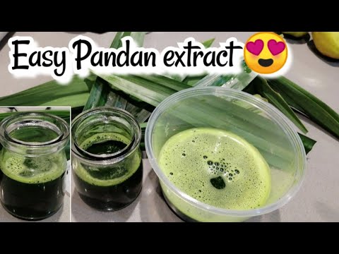 How to make pandan extract/mhaivlogs