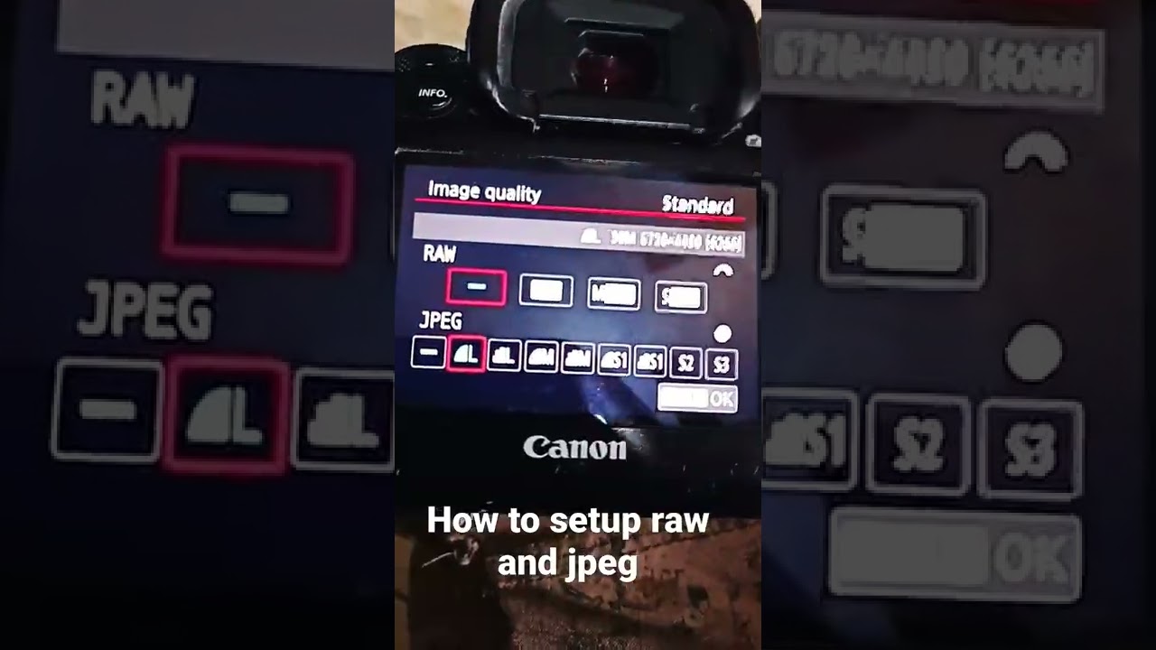 how to set the raw and jpeg in canon 5d mark 4