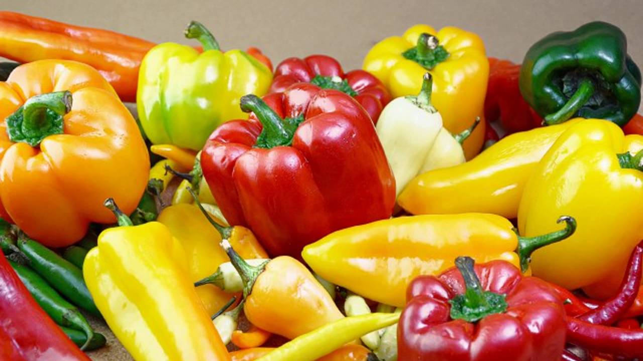 Top 20 Popular Photo Paprika