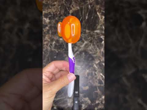GuruNanda Brush Pod 1