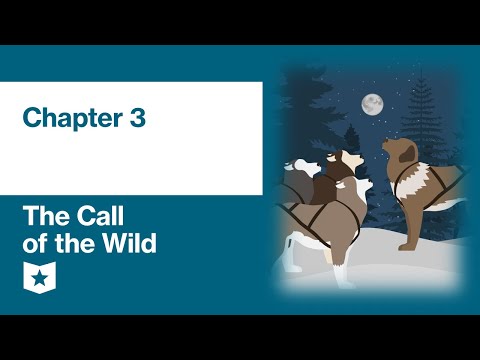 The Call of the Wild Study Guide | Course Hero