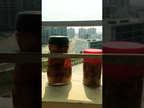 Rajuk Uttara Apartment Project | Mango Pickle | S Family Lifestyle