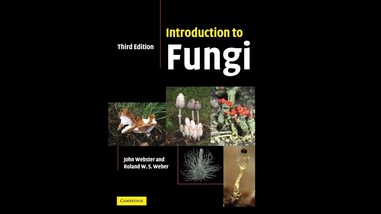 Ascomycota (ascomycetes) | Chapter 8 - Introduction to Fungi