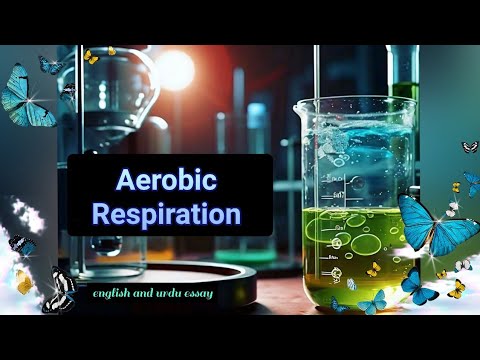 What is Aerobic Respiration||Definition of Aerobic Respiration||Aerobic Respiration