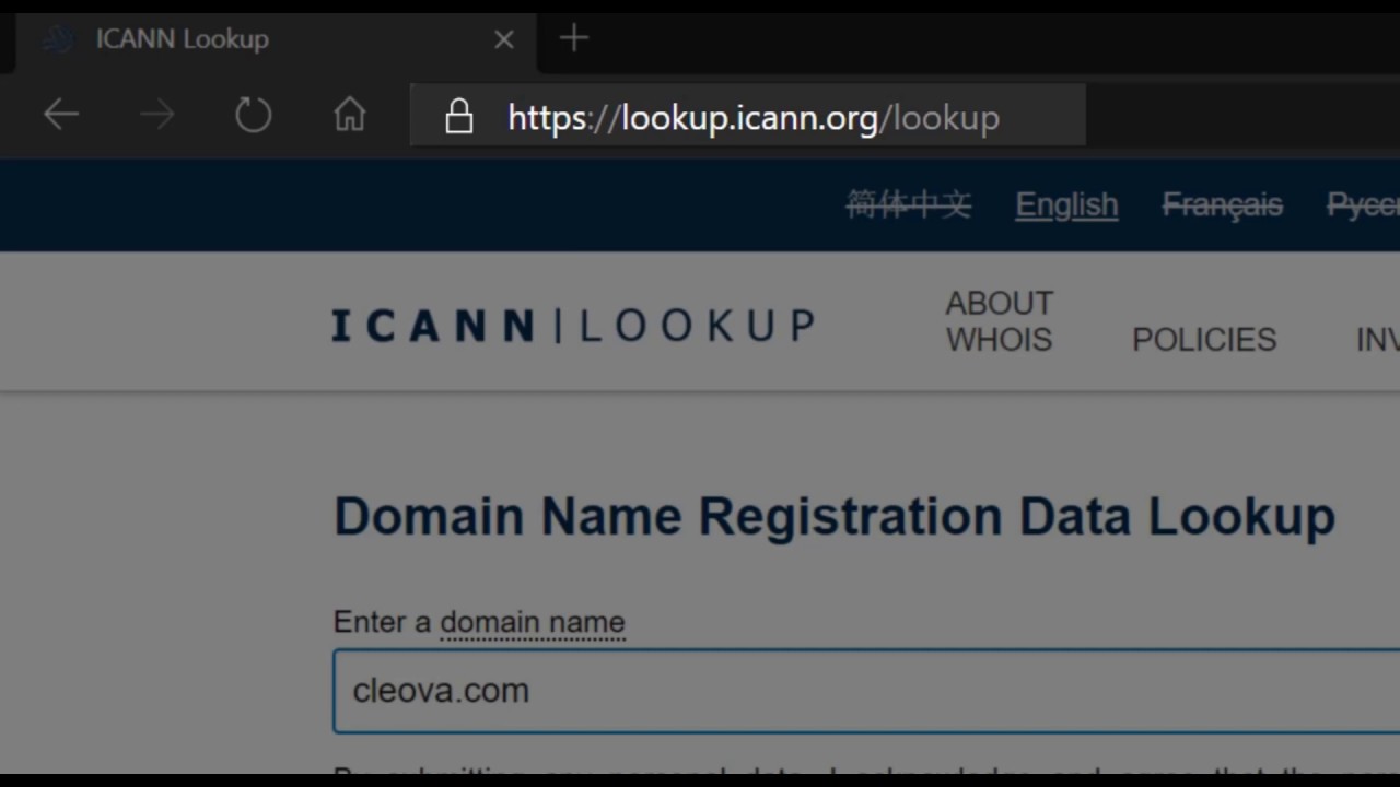 Cara cek masa aktif domain akurat 100%