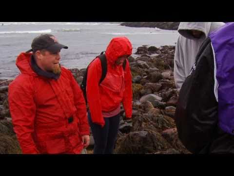 Professor Brian Penney, Marine Ecologist