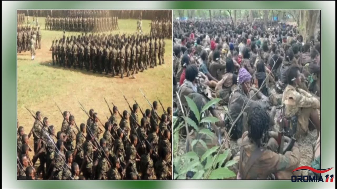 OROMIA11: Oduu 5-18-2023