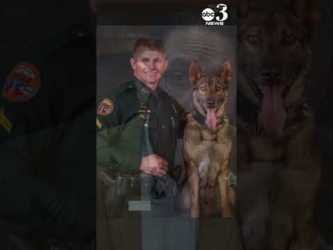 Florida K9 deputy Leo dies after being shot in the line of duty