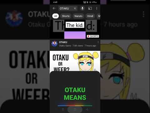 What is the meaning of "OTAKU"