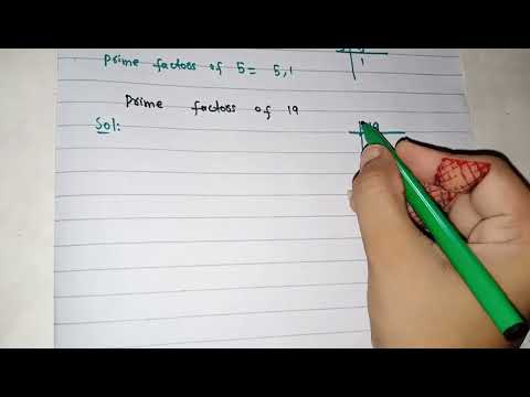 Prime Factors of 19 | Prime Factorization