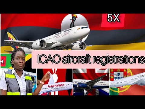 What to know about the ICAO aîrcraft registrations. #dispatcherlyn #misslynn #aviation.