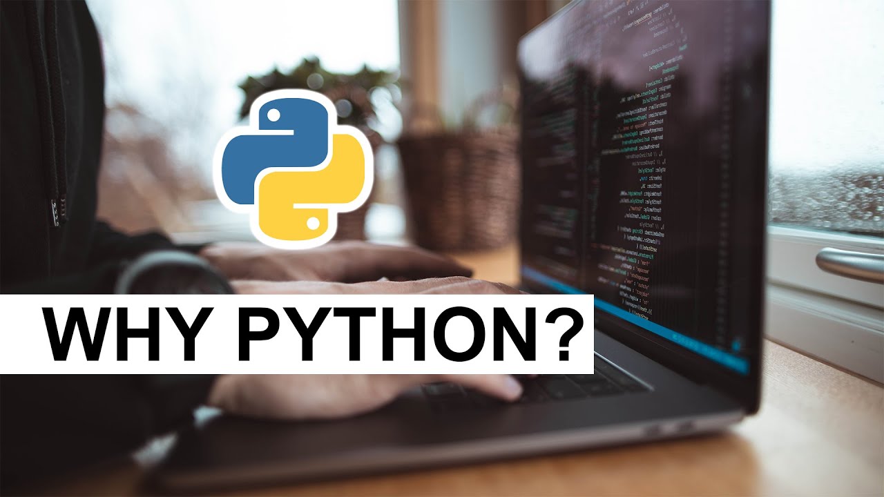 Why Python Remains Popular Despite Its Slowness | Galaxy.ai