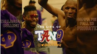 Gamma Psi Chapter of Omega Psi Phi Fraternity Fall 23 Probate  #omegapsiphi #nphc #talladegacollege