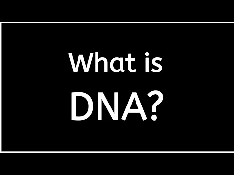 What is DNA?