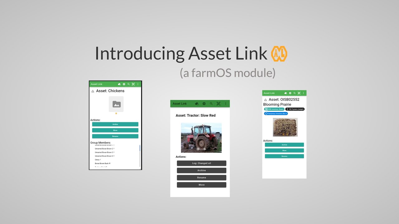 Asset Link Introduction