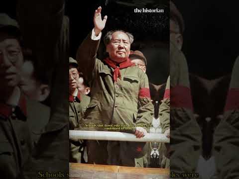 The Chinese Cultural Revolution