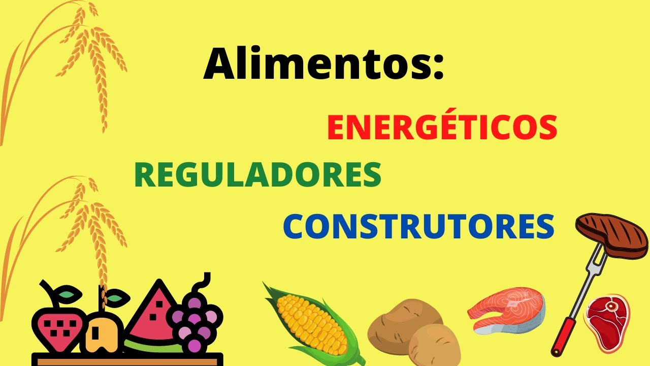 Alimentos Construtores Reguladores E Energéticos 5o Ano - Insights e ...