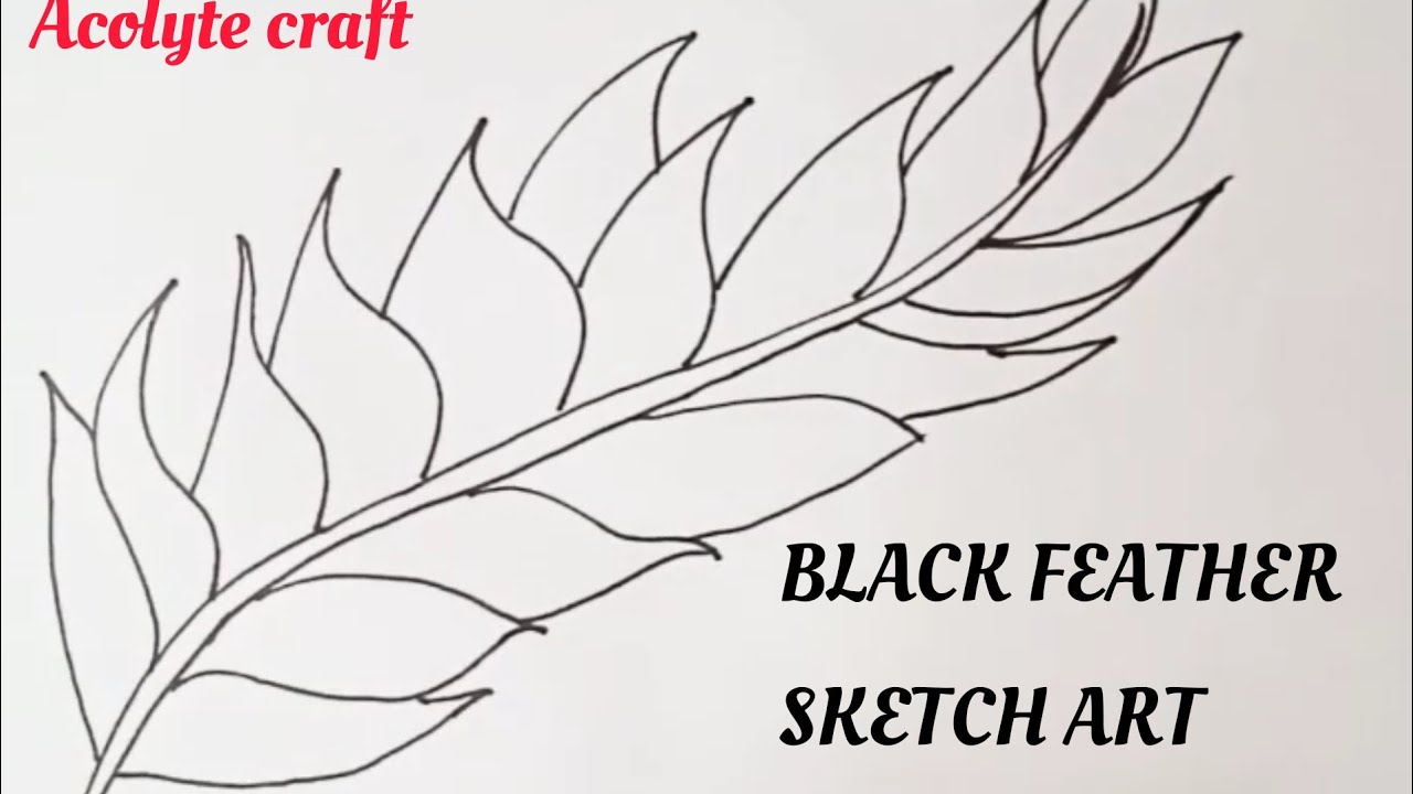 Easy Feather Art | Feather Art for Beginners | Doodle