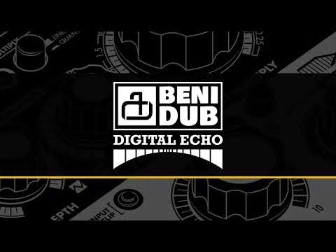 Benidub Digital Echo Desktop Delay Effects Unit | Reverb