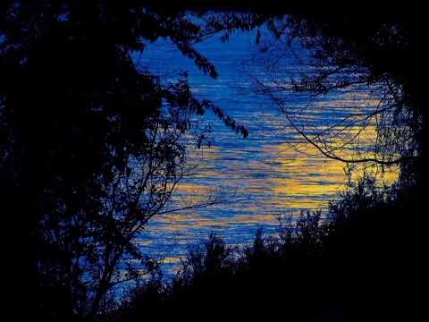 What does it mean to you - Carpetman / Lofi / Instrumental music