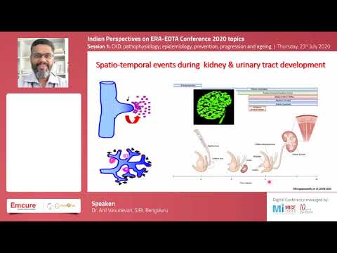 Part 4 - Genetics of CAKUT - Dr Anil Vasudevan, Bengaluru