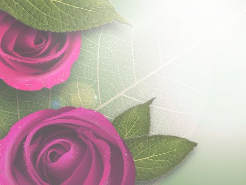 Service of Ruth Caroline (Graham) Diebold