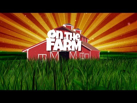 On the Farm - Kilmer Swine Farm