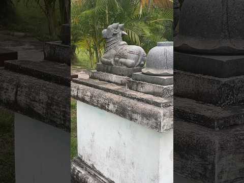 Shankara 🔱 Oldest Shiv temple in Goa #shiv #mahadev #bholenath #short #shorts #youtubeshort