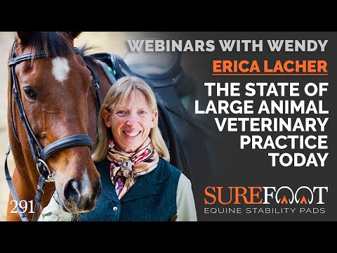 No 291. Dr Erica Lacher - The state of large animal veterinary practice today