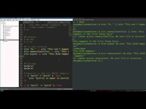 Bash Scripting 6 -- 'If' and Testing Explained