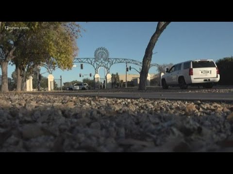 Glendale park reopens after massive beehive removed