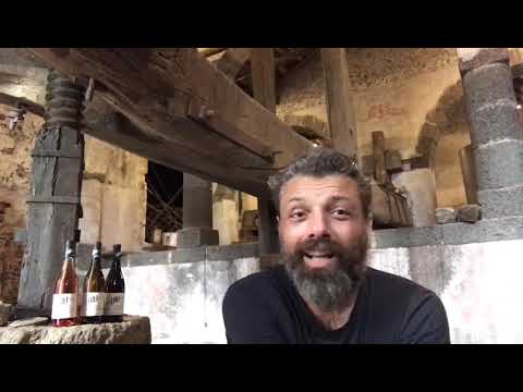 Meet the Producer: Virtual Wine Tasting with Ayunta