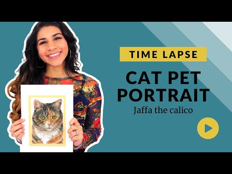 Realistic Calico Cat Drawing in Colored Pencil