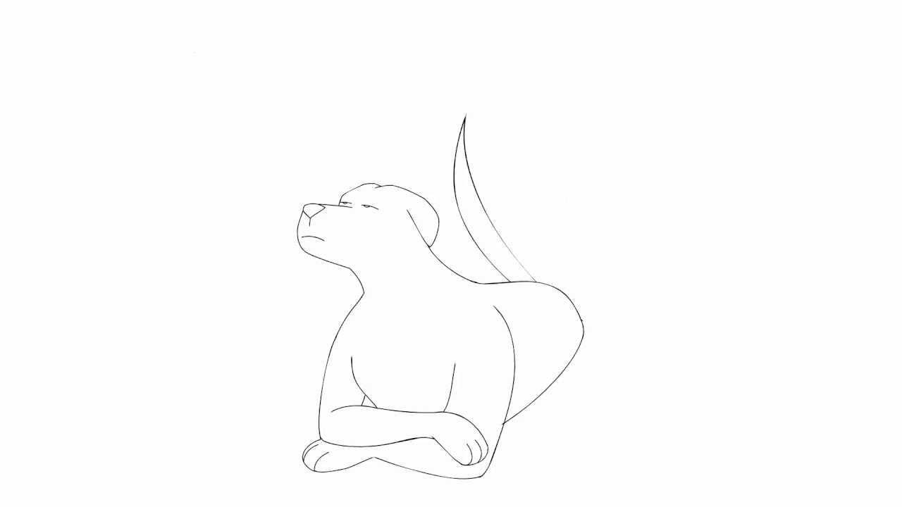 Tail Wag Test Animation